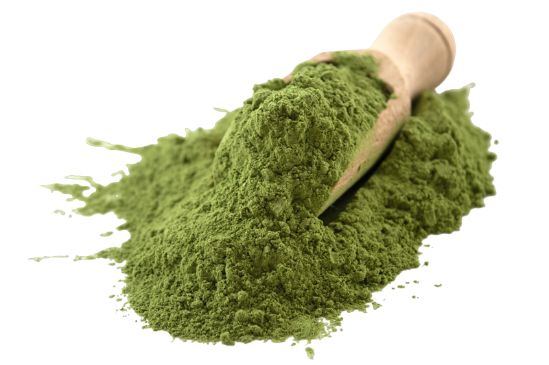 Palak Soup – Morriko Pure Foods